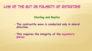 6. git lecture 6 | PPT