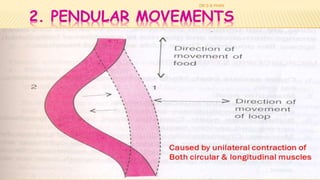 6. git lecture 6 | PPT