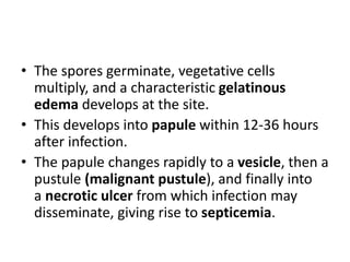 6. bacillus athracis | PPT