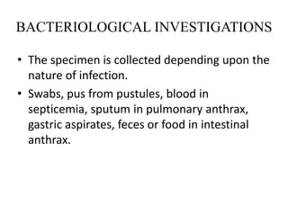6. bacillus athracis | PPTX