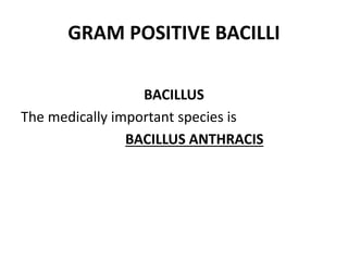 6. bacillus athracis | PPT