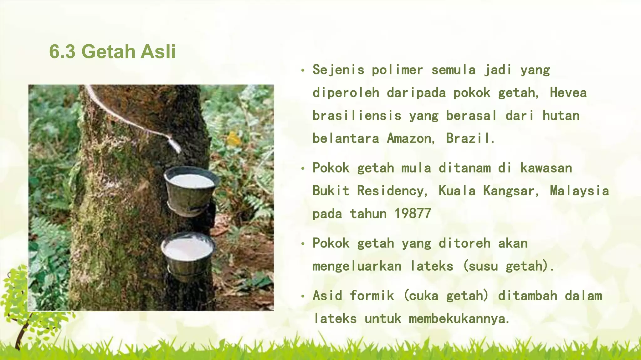 6. Polimer Semula Jadi | PPTX