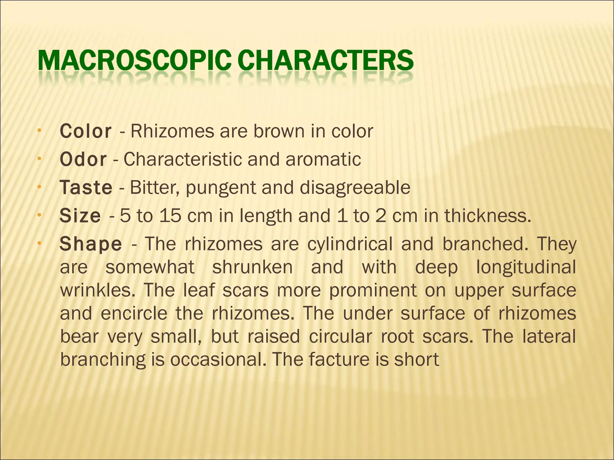 6. acorous calamus (bojho) | PPT