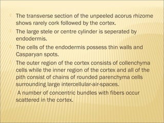 6. acorous calamus (bojho) | PPT