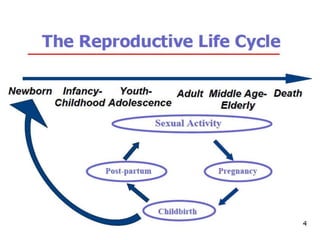REPRODUCTIVE HEALTH PPT | PPTX