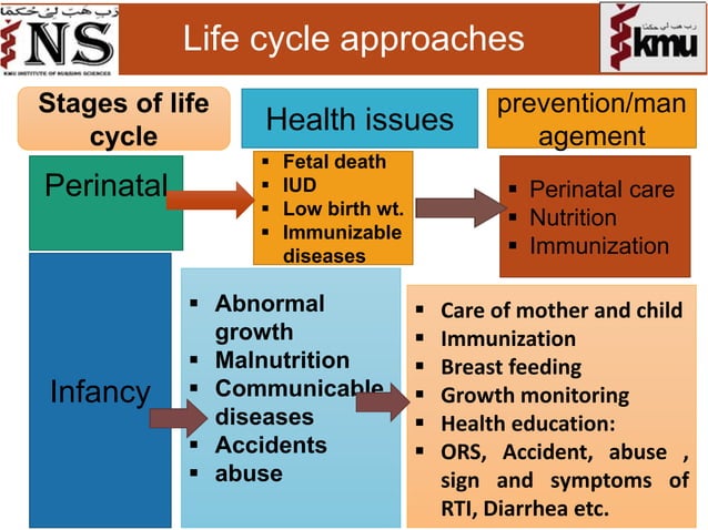 REPRODUCTIVE HEALTH PPT | PPTX