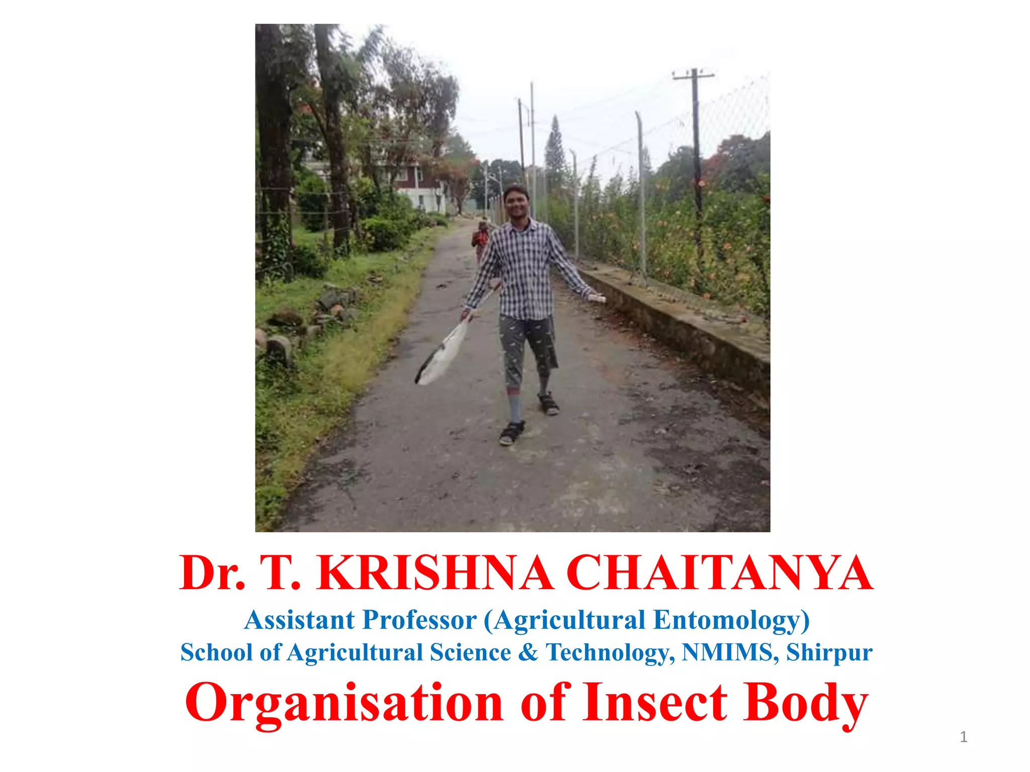 Organisation of insect body by Dr. T. Krishna Chaitanya | PPTX