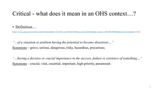 Critical Risk – it’s focus and application | PDF