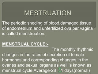 Menstrual cycle | PPT