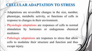 cellular adaptation presentation (2) | PPTX