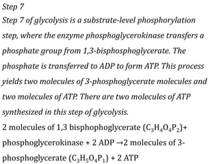 Central Metabolism | PPT