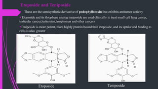 Natural products as leads for new pharmaceuticals | PPTX