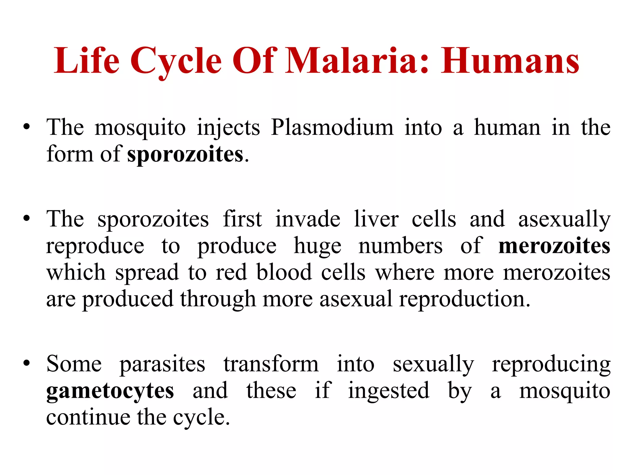 6. plasmodium | PPTX