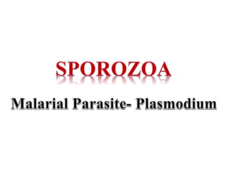 6. plasmodium | PPTX