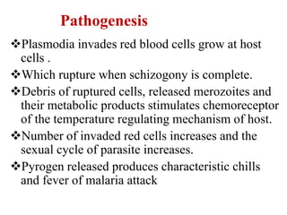 6. plasmodium | PPTX