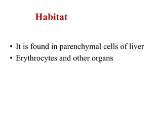 6. plasmodium | PPTX