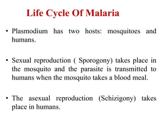 6. plasmodium | PPTX