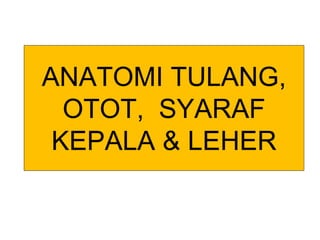 6.anatomi tulang, otot , syaraf kepala | PPT