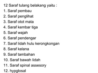 6.anatomi tulang, otot , syaraf kepala | PPT