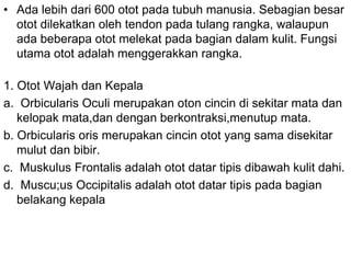 6.anatomi tulang, otot , syaraf kepala | PPT