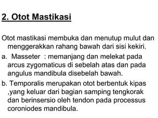 6.anatomi tulang, otot , syaraf kepala | PPT