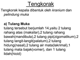 6.anatomi tulang, otot , syaraf kepala | PPT
