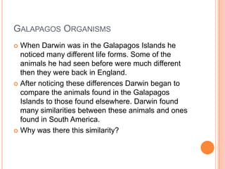 6.1 darwin's theory | PPTX