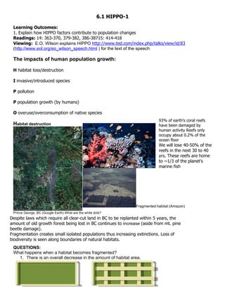 6.1 Hippo (Part1) | DOC