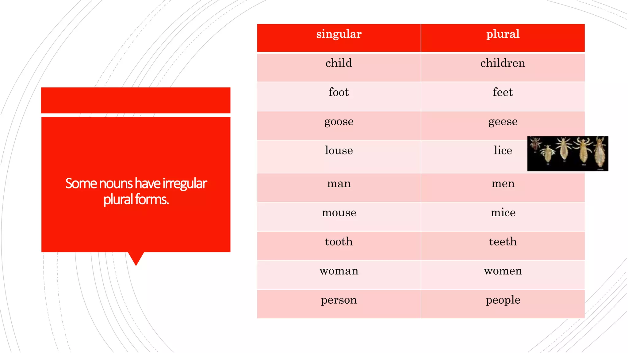 6 1 plural forms of nouns | PPTX