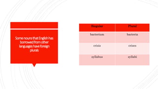 6 1 plural forms of nouns | PPTX