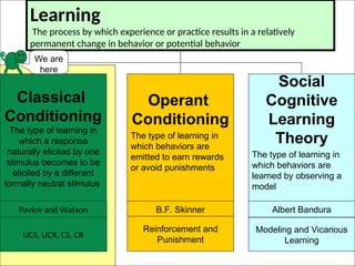 ap psychology classical conditioning.ppt