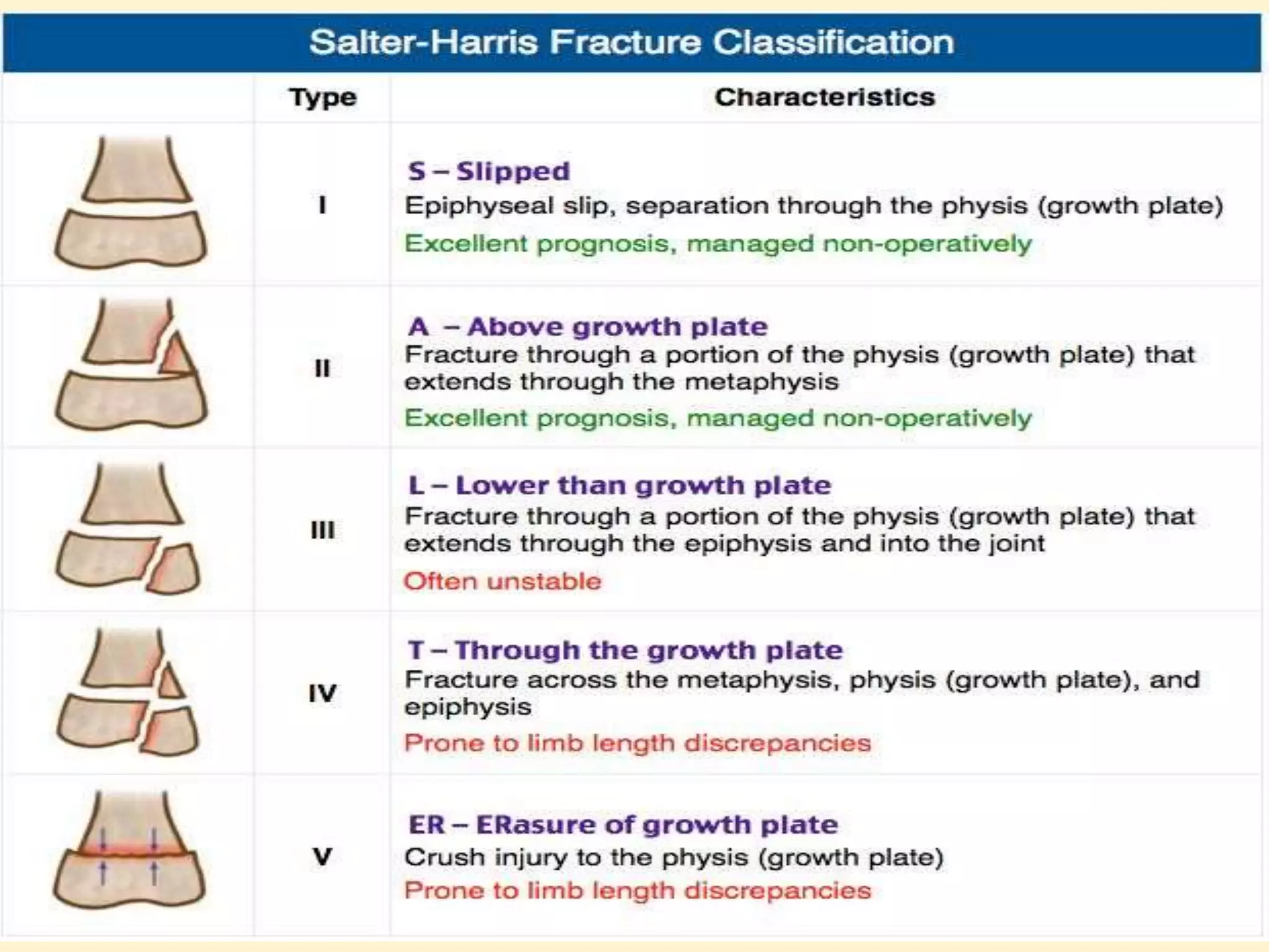 6. Humerus lower end fractures | PPTX
