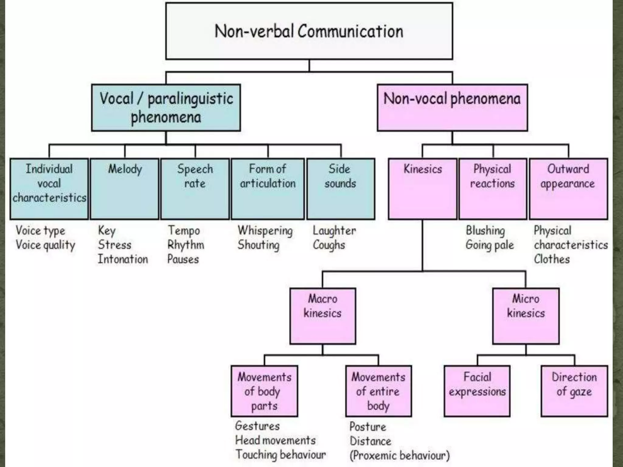 6. watches and listens to sample oral communication activities and ...