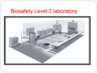 Clinical Laboratory Biosafety | PPT