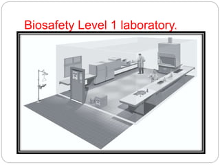 Clinical Laboratory Biosafety | PPT