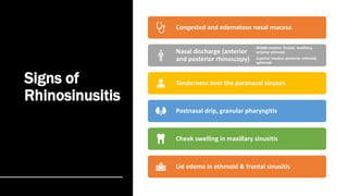 Rhinosinusitis: clinical features and diagnosis kk | PPTX