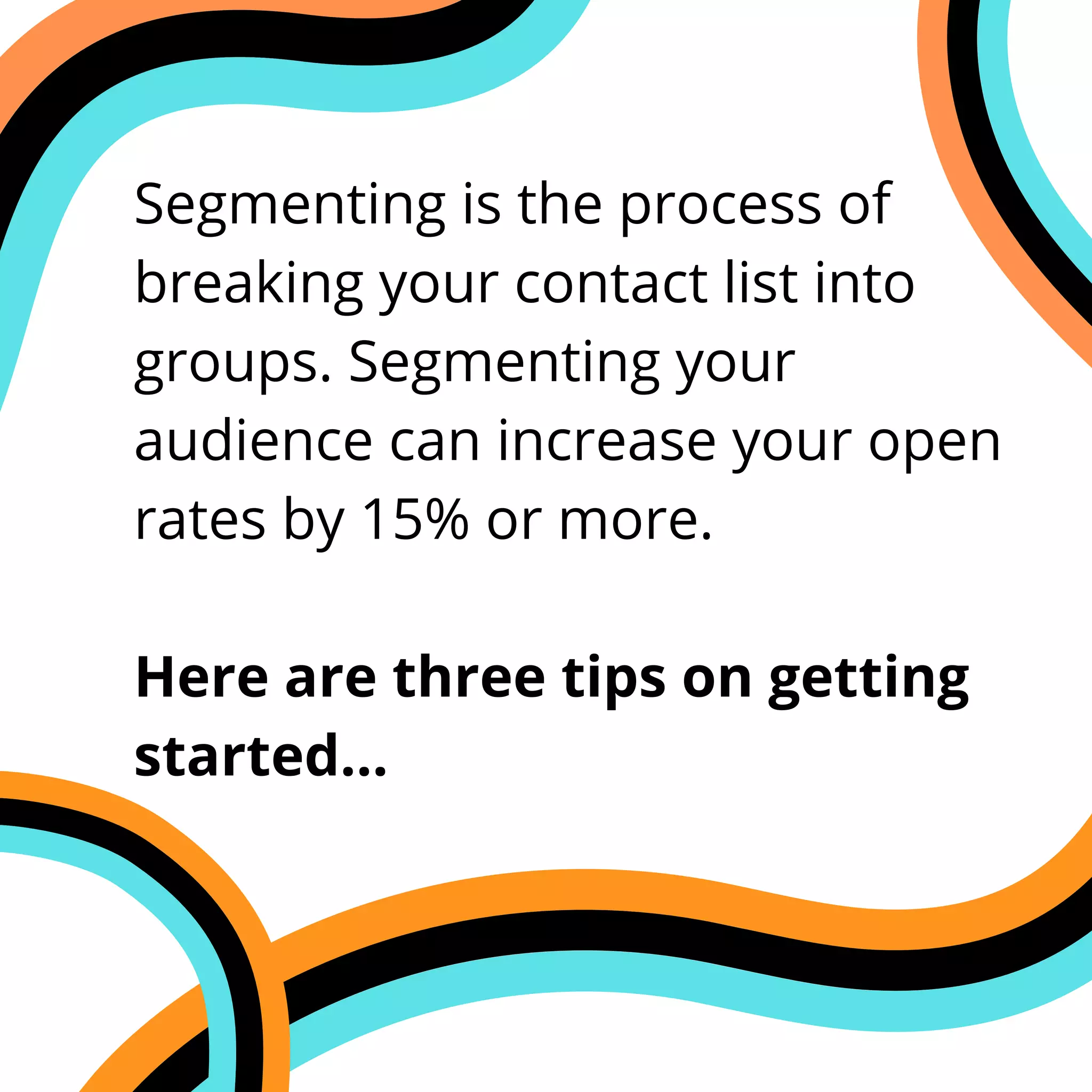 Lion Tips: Segmenting | PDF | Business | Business and Finance