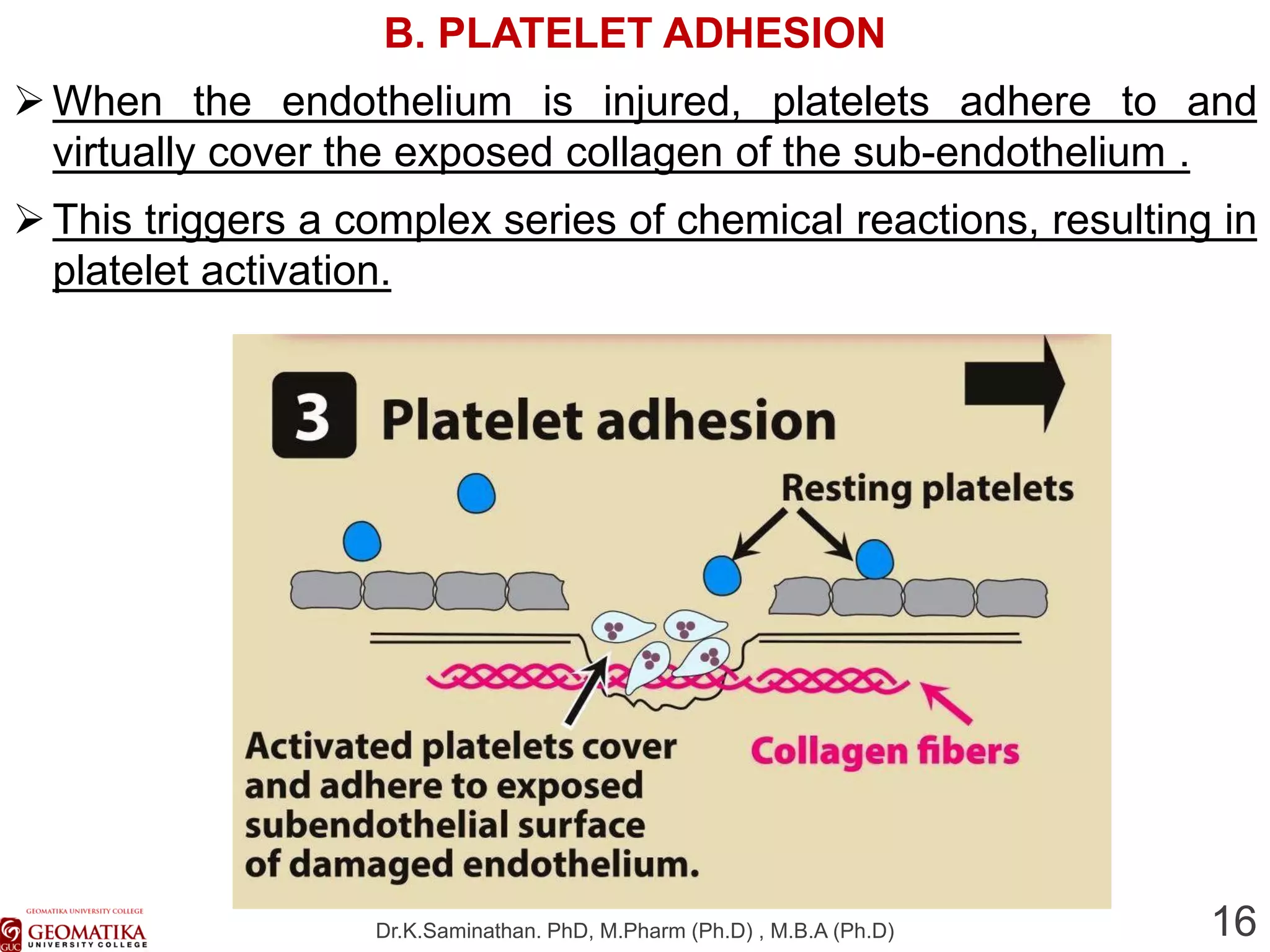 6. anticoagulants and antiplatelet agents | PDF