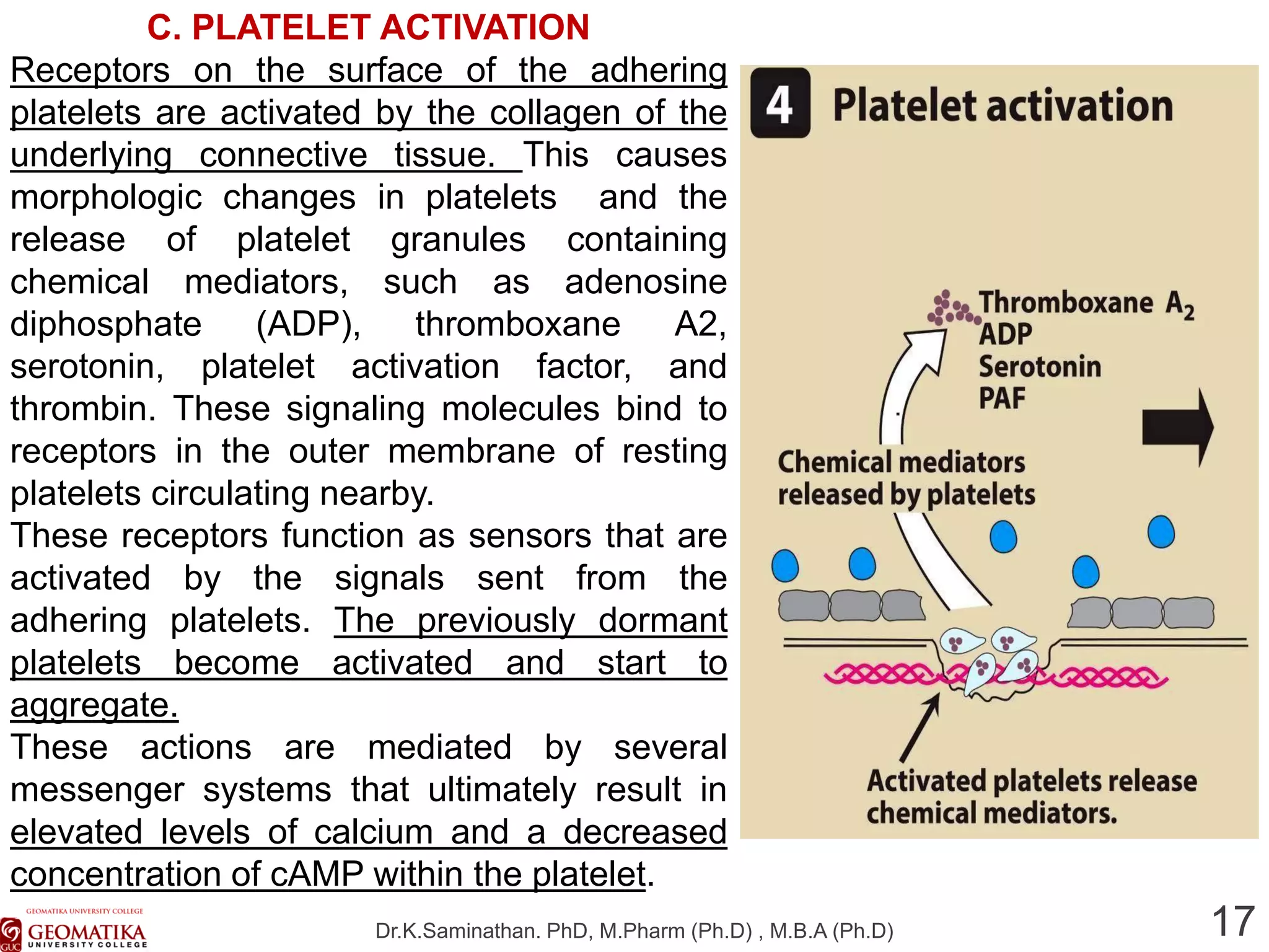 6. anticoagulants and antiplatelet agents | PDF