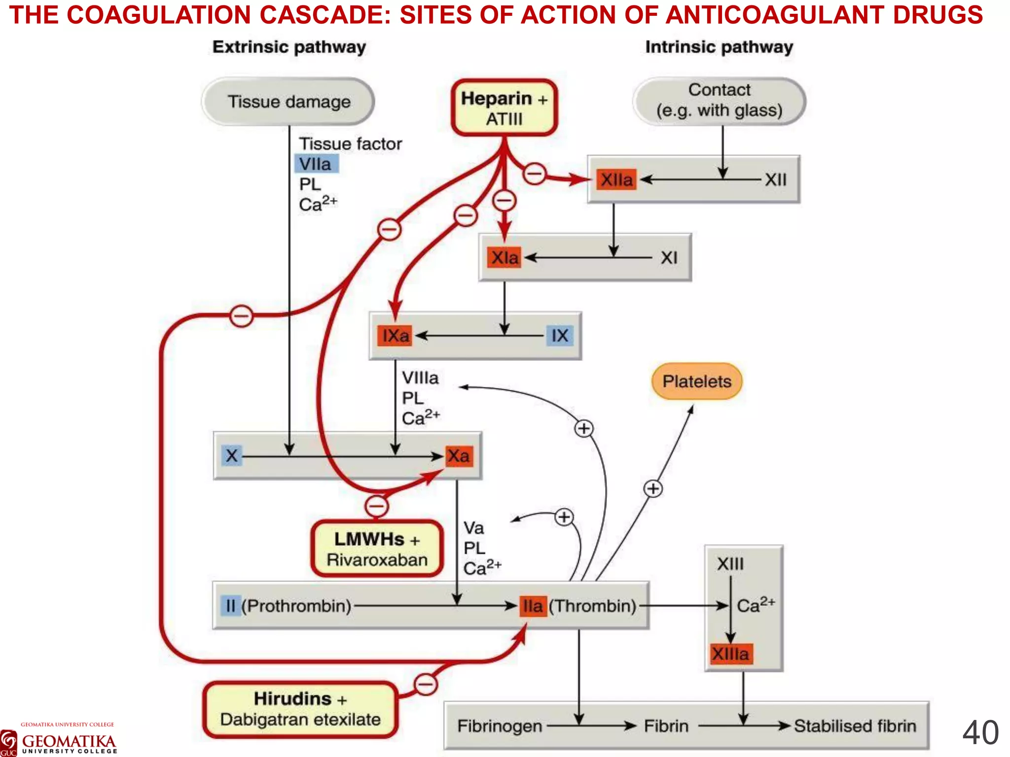 6. anticoagulants and antiplatelet agents | PDF