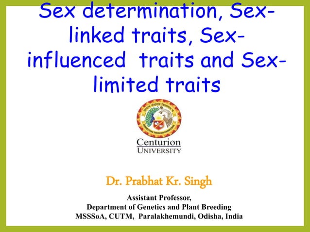 Sex Determination Ppt