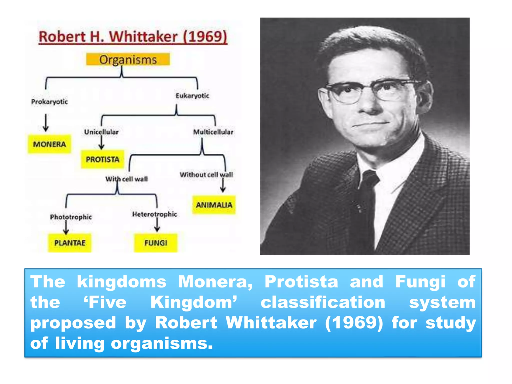 Classification Of Plant | PPTX