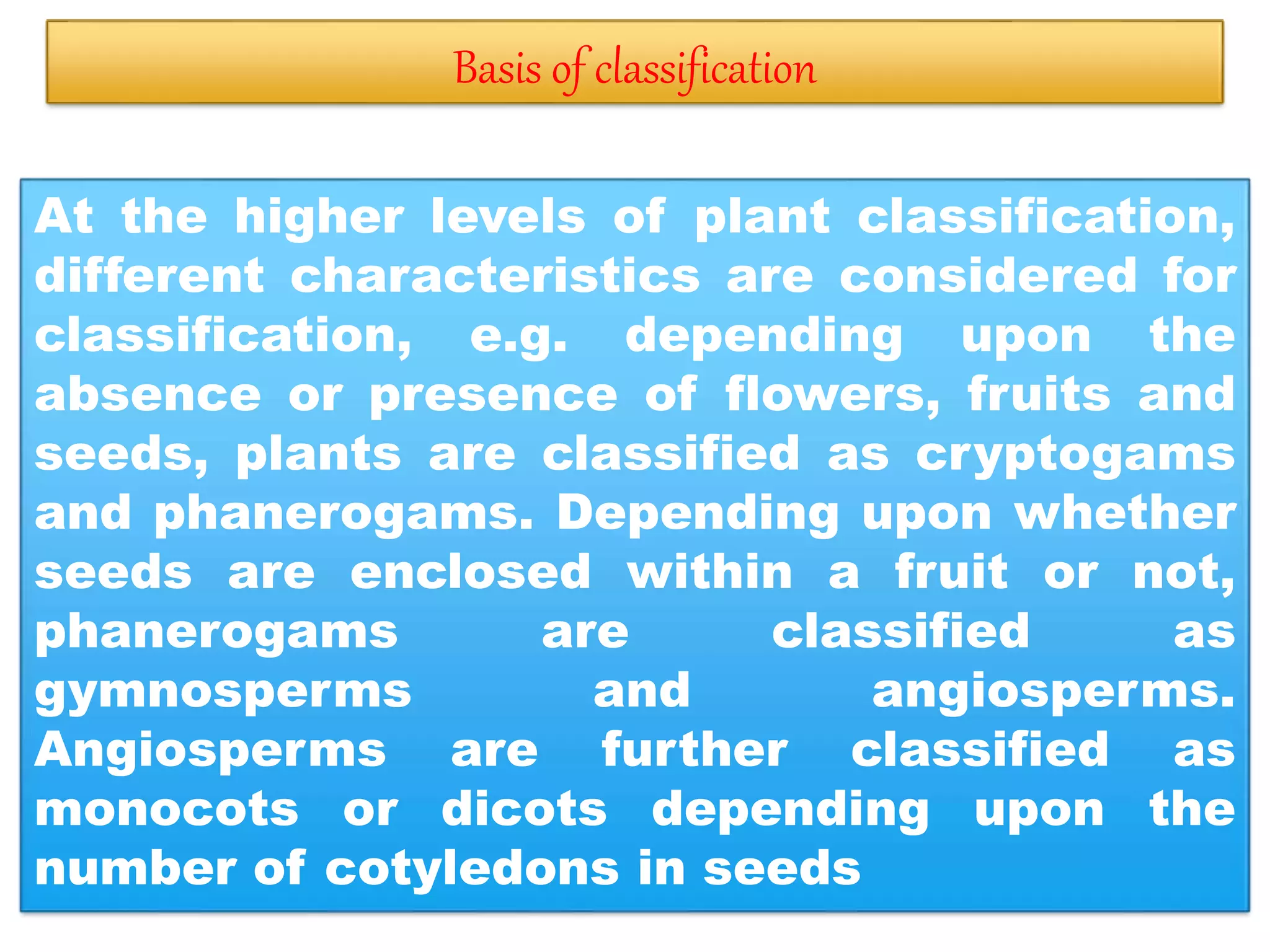 Classification Of Plant | PPTX