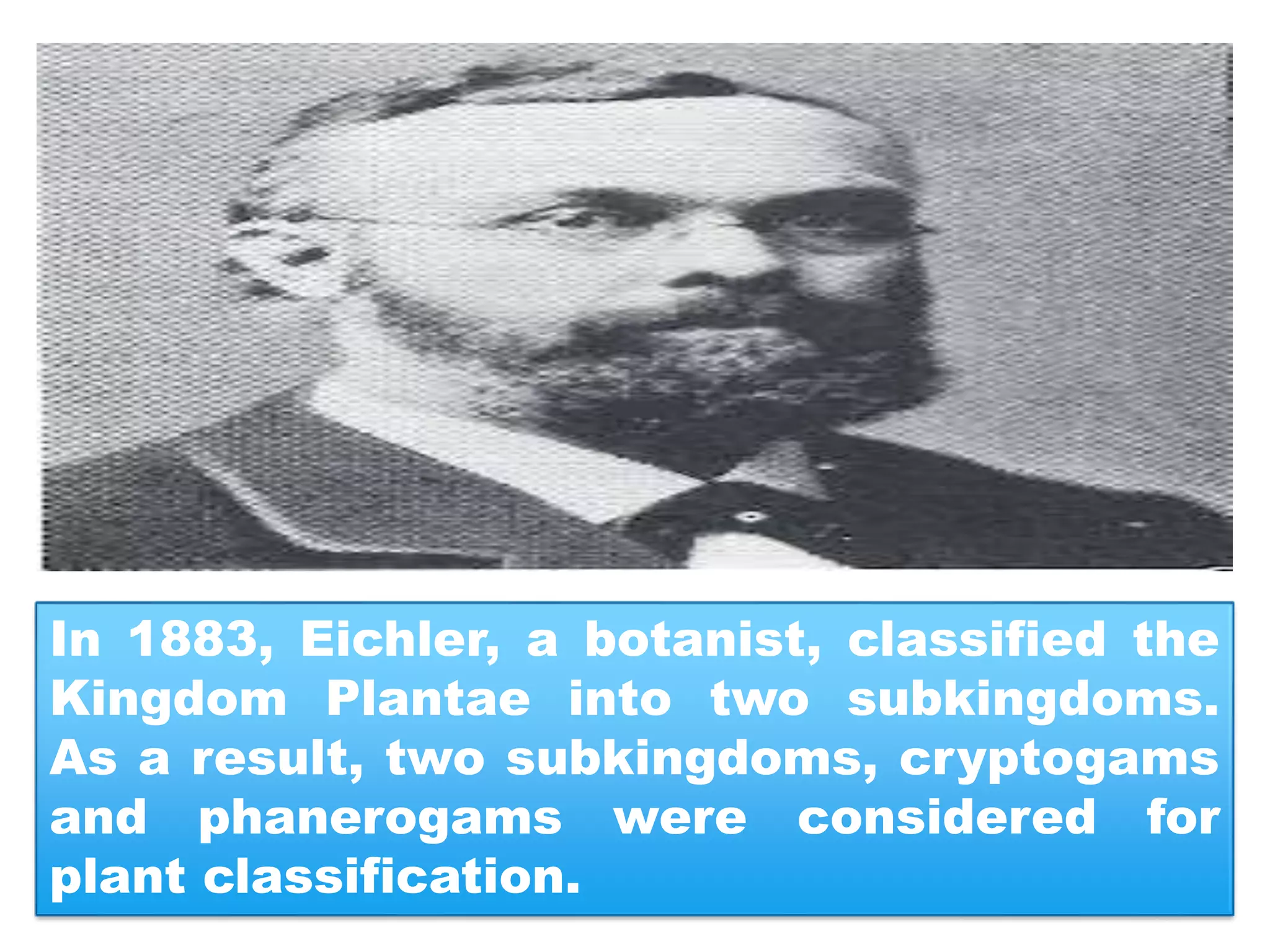 Classification Of Plant | PPTX