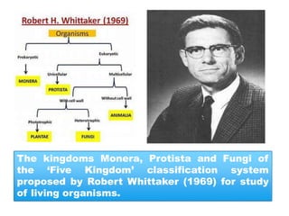 Classification Of Plant | PPTX