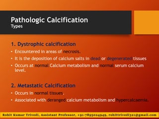 Pathologic Calcification by rohit kumar trivedi | PPTX