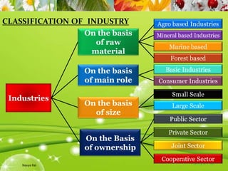 Grade 10th Social Science- Geography 6. Manufacturing Industries | PDF