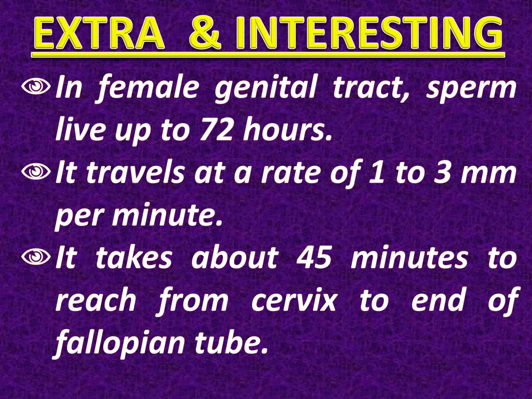 Structure of Sperm | PDF