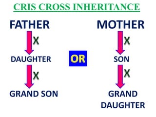 Sex Linked Inheritance in Man | PDF
