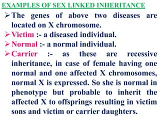 Sex Linked Inheritance in Man | PDF